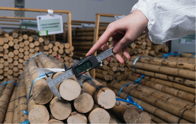 Home | Bone regeneration solutions | GreenBone Ortho